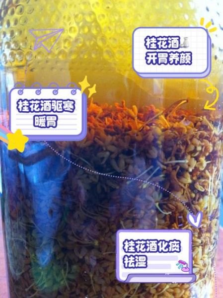 一斤干桂花泡多少酒_干桂花泡酒比例是多少-第1张图片-山城妙识 一斤干桂花泡多少酒_干桂花泡酒比例是多少-第1张图片-山城妙识