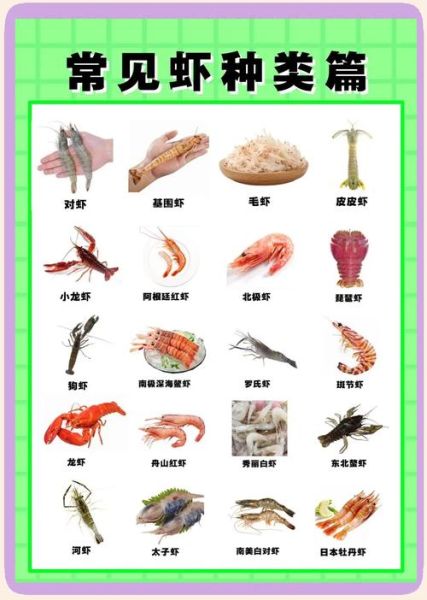 中国最大的淡水虾是什么_养殖技巧有哪些-第1张图片-山城妙识