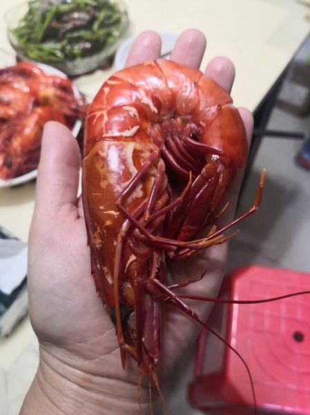 中国最大的淡水虾是什么_养殖技巧有哪些-第3张图片-山城妙识