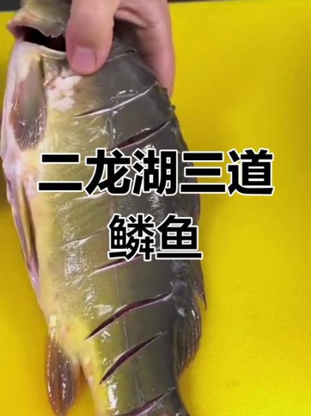 三道鳞是什么鱼_三道鳞图片长什么样-第3张图片-山城妙识