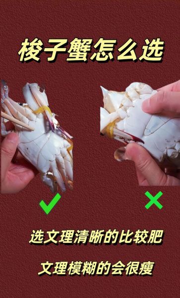 梭子蟹怎么保存过夜_活蟹冷藏还是冷冻-第3张图片-山城妙识