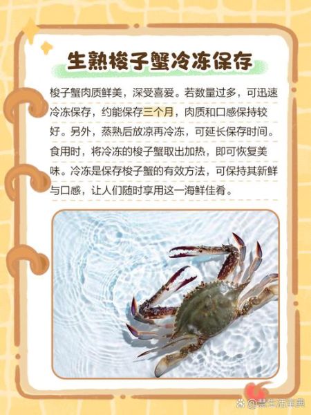 梭子蟹怎么保存过夜_活蟹冷藏还是冷冻-第1张图片-山城妙识