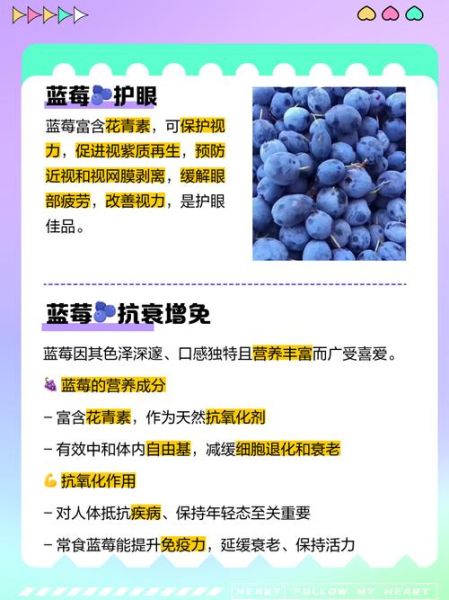 蓝莓的营养价值有哪些_蓝莓的功效与作用是什么-第2张图片-山城妙识 蓝莓的营养价值有哪些_蓝莓的功效与作用是什么-第2张图片-山城妙识