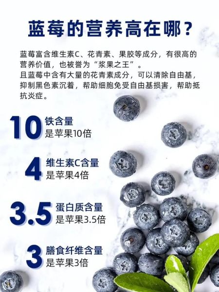 蓝莓的营养价值有哪些_蓝莓的功效与作用是什么-第3张图片-山城妙识 蓝莓的营养价值有哪些_蓝莓的功效与作用是什么-第3张图片-山城妙识