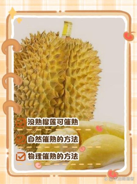 榴莲没熟已经剥出来了怎么办_如何催熟榴莲肉-第3张图片-山城妙识