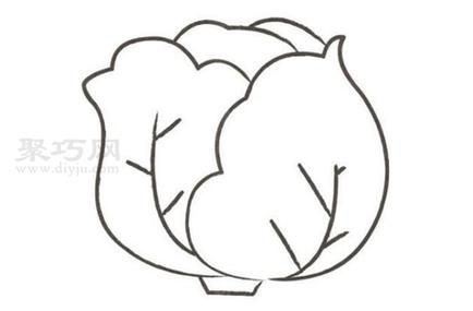 包菜简笔画怎么画_包菜简笔画步骤-第2张图片-山城妙识