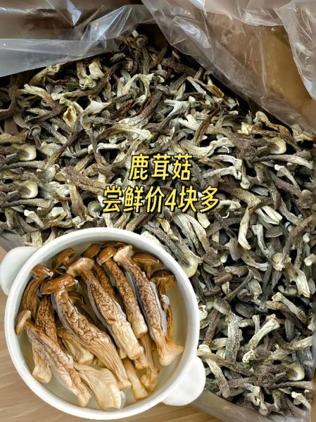 鹿茸价格多少一斤_鹿茸多少钱一斤2024-第1张图片-山城妙识 鹿茸价格多少一斤_鹿茸多少钱一斤2024-第1张图片-山城妙识