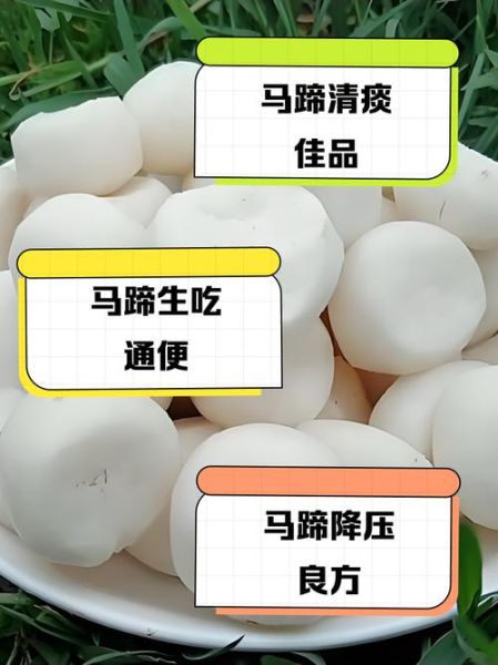 马蹄怎么做好吃_马蹄可以生吃吗-第3张图片-山城妙识 马蹄怎么做好吃_马蹄可以生吃吗-第3张图片-山城妙识