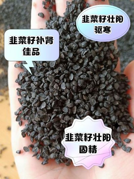 韭菜籽吃多久能壮阳_韭菜籽壮阳多久见效-第3张图片-山城妙识