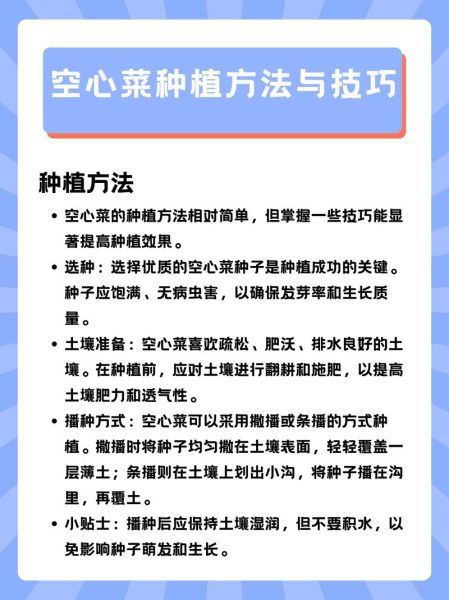 空心菜怎么种_空心菜种植时间和方法-第1张图片-山城妙识
