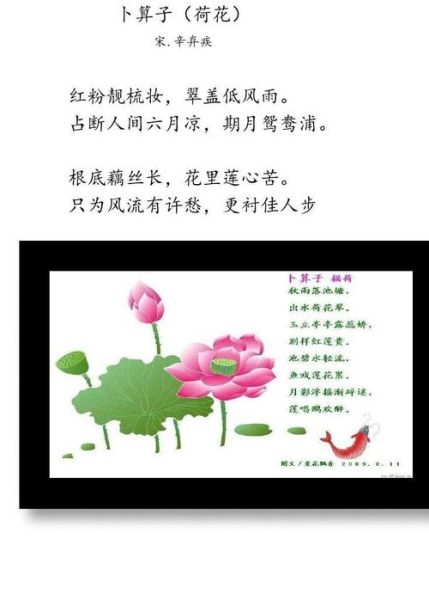 荷花诗句有哪些_如何鉴赏荷花的意境-第1张图片-山城妙识 荷花诗句有哪些_如何鉴赏荷花的意境-第1张图片-山城妙识