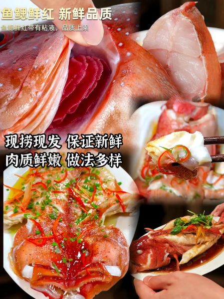 红斑鱼多少钱一斤_红斑鱼价格行情-第3张图片-山城妙识 红斑鱼多少钱一斤_红斑鱼价格行情-第3张图片-山城妙识