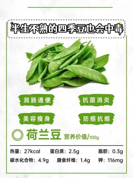 荷兰豆的功效与禁忌_孕妇能吃吗-第1张图片-山城妙识