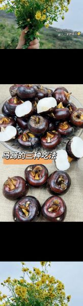 荸荠怎么吃_荸荠的做法大全-第2张图片-山城妙识