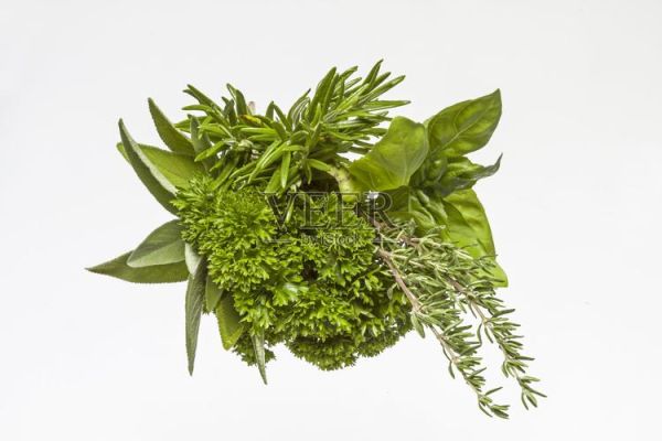 香草app怎么下载_香草app在哪下载-第2张图片-山城妙识