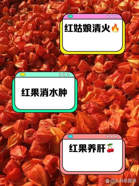 红姑娘怎么泡水_红姑娘泡水正确方法-第3张图片-山城妙识