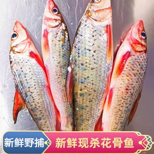 花菇鱼怎么做才好吃_花菇鱼的营养价值有哪些-第3张图片-山城妙识