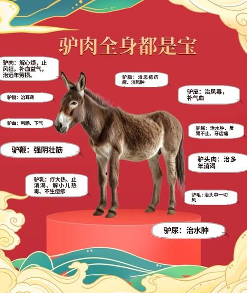 哪里可以学驴肉的做法_驴肉怎么做好吃-第1张图片-山城妙识 哪里可以学驴肉的做法_驴肉怎么做好吃-第1张图片-山城妙识