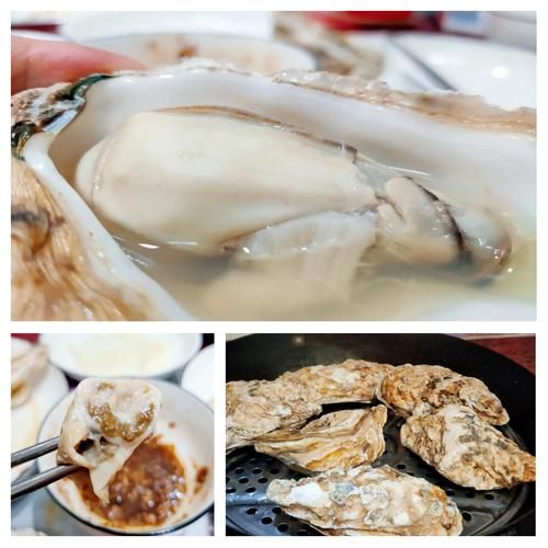 生蚝蒸多久最佳时间_生蚝蒸几分钟口感最嫩-第3张图片-山城妙识