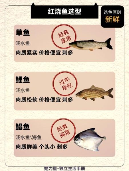 红烧鱼用什么鱼最好_红烧鱼选鱼技巧-第2张图片-山城妙识