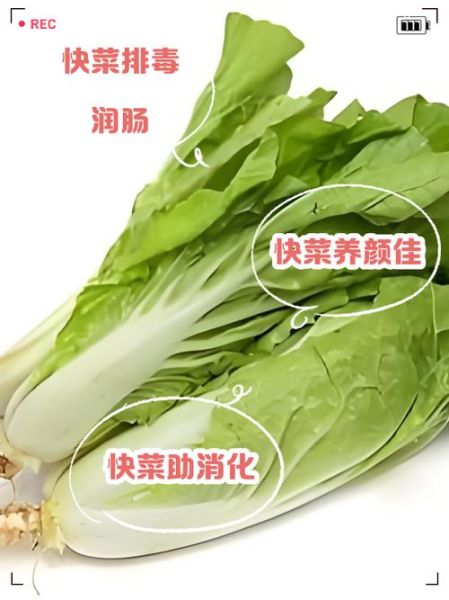 快菜怎么做才好吃_快菜和油菜的区别-第1张图片-山城妙识