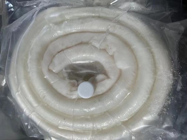 鲟龙鱼筋的做法_鲟龙鱼筋的营养价值-第2张图片-山城妙识