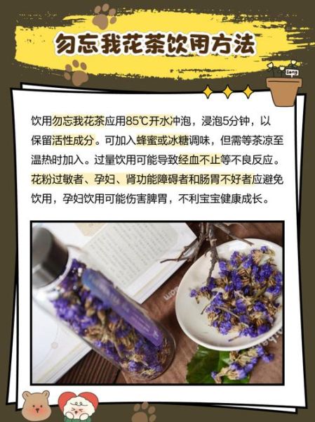 勿忘我花茶的功效与禁忌_适合什么人喝-第1张图片-山城妙识