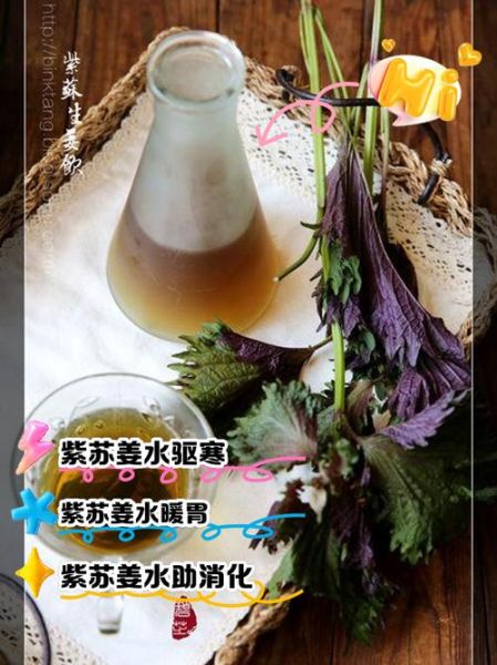 紫苏叶泡水喝能治口臭吗_紫苏叶去口臭效果好吗-第1张图片-山城妙识 紫苏叶泡水喝能治口臭吗_紫苏叶去口臭效果好吗-第1张图片-山城妙识