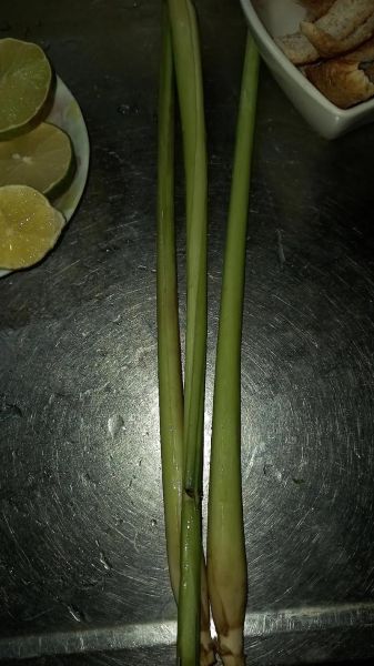 香茅根的功效与作用_香茅根怎么泡水喝-第2张图片-山城妙识