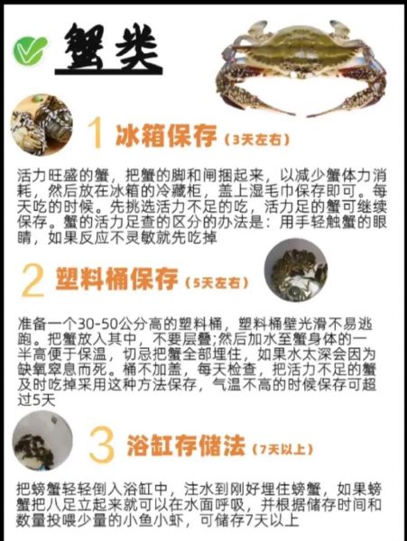 海鲜怎么保存才新鲜_海鲜冷冻好还是冷藏好-第1张图片-山城妙识
