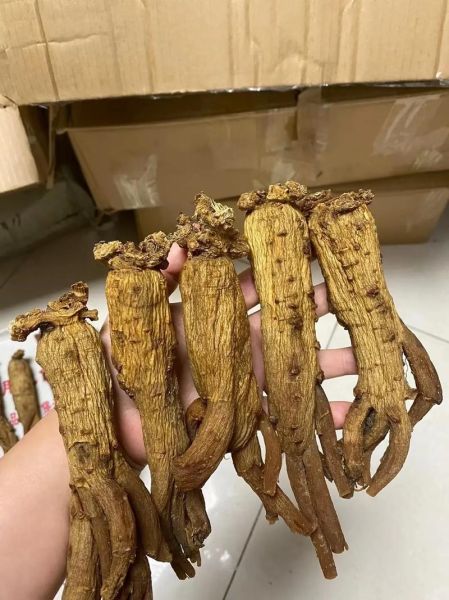 高丽参多少钱一斤_正宗高丽参价格表-第1张图片-山城妙识 高丽参多少钱一斤_正宗高丽参价格表-第1张图片-山城妙识