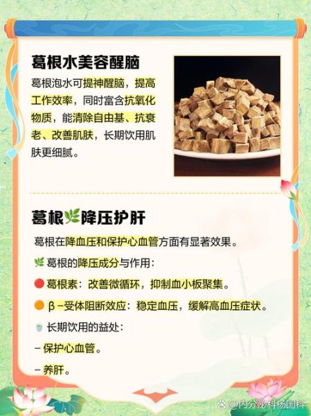 女人天天用葛根泡水喝好吗_葛根泡水长期喝副作用-第1张图片-山城妙识