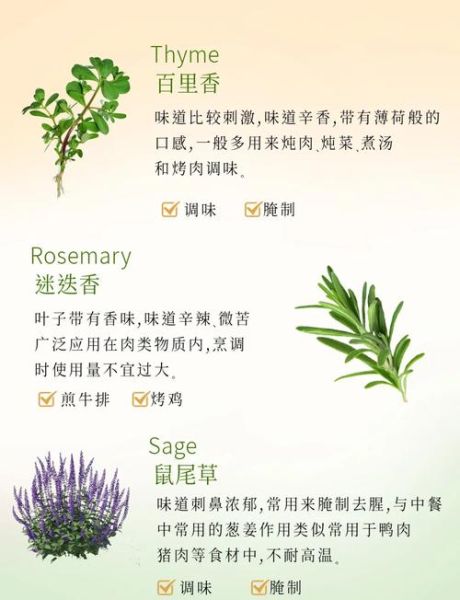 西餐调料有哪些_常用西餐调料怎么用-第2张图片-山城妙识