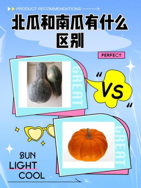 北瓜图片区别_如何一眼分辨真假北瓜-第1张图片-山城妙识 北瓜图片区别_如何一眼分辨真假北瓜-第1张图片-山城妙识