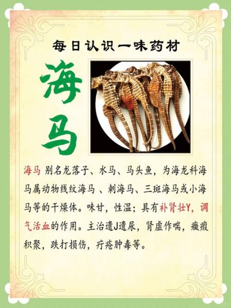 海马怎样吃最补肾壮阳_海马壮阳的正确吃法-第1张图片-山城妙识