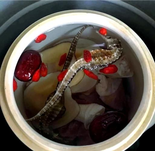 海马怎样吃最补肾壮阳_海马壮阳的正确吃法-第2张图片-山城妙识