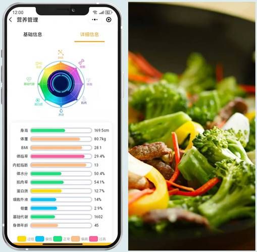 营养搭配食谱软件哪个好_如何科学配餐-第2张图片-山城妙识