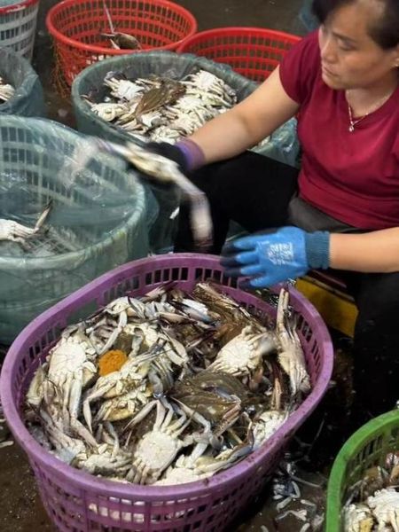 螃蟹批发价格10元一斤_靠谱吗-第1张图片-山城妙识