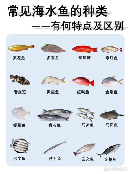 海鱼图片大全_如何识别常见海鱼-第3张图片-山城妙识 海鱼图片大全_如何识别常见海鱼-第3张图片-山城妙识