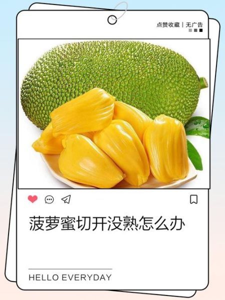 菠萝菠萝蜜视频在线高清免费观看_如何找到无广告入口-第3张图片-山城妙识