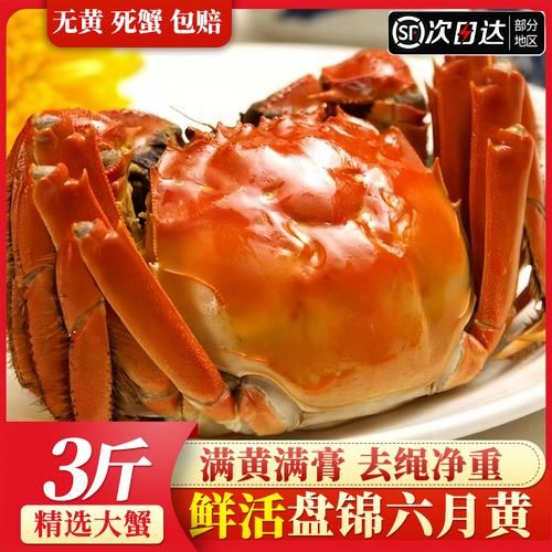 盘锦河蟹什么时候最肥_如何挑选正宗盘锦河蟹-第3张图片-山城妙识