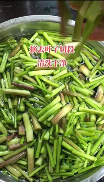 野水芹菜怎么炒好吃_野水芹菜做法大全-第1张图片-山城妙识