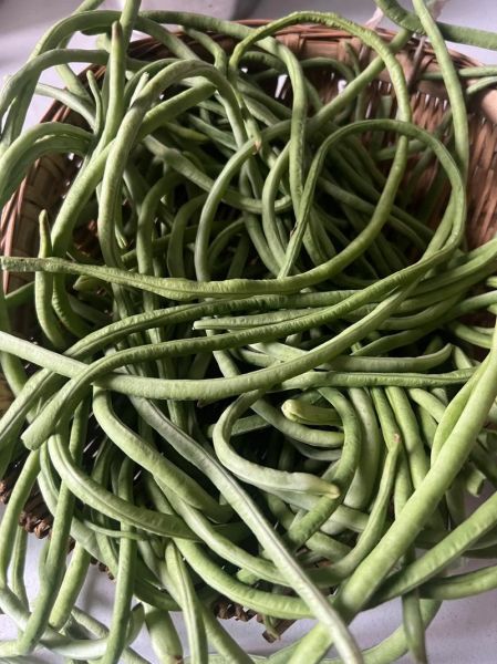 豇豆角怎么腌制_豇豆角腌制多久可以吃-第2张图片-山城妙识