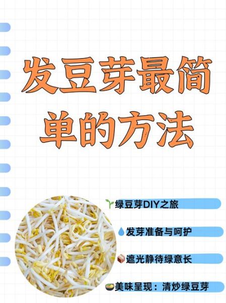 绿豆芽菜怎么种_绿豆芽菜种植方法-第1张图片-山城妙识