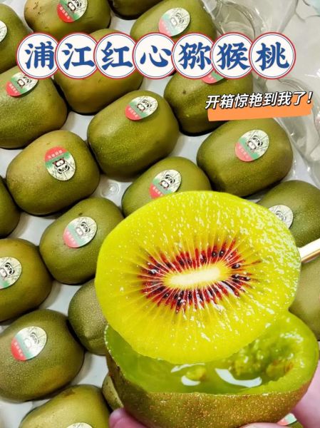 红心猕猴桃产地哪里的最好_四川蒲江红心猕猴桃为什么出名-第1张图片-山城妙识