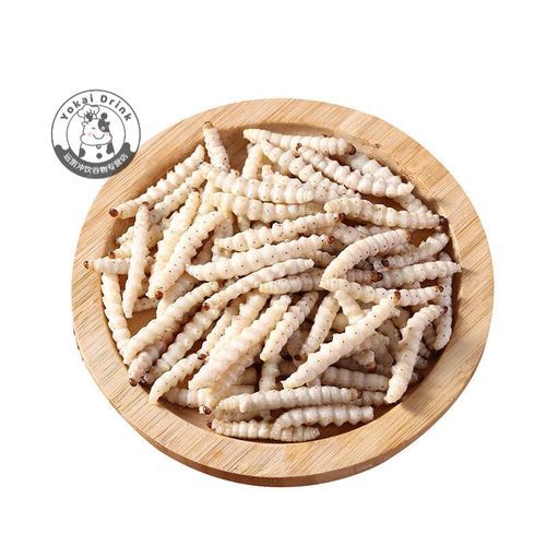 竹虫怎么养殖_竹虫价格多少钱一斤-第2张图片-山城妙识 竹虫怎么养殖_竹虫价格多少钱一斤-第2张图片-山城妙识