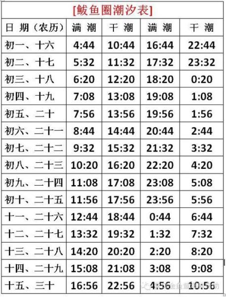 鲅鱼圈潮汐表怎么看_赶海最佳时间-第1张图片-山城妙识