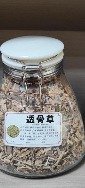 透骨草的功效与作用_透骨草能治什么病-第3张图片-山城妙识 透骨草的功效与作用_透骨草能治什么病-第3张图片-山城妙识