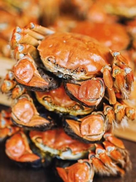 阳澄湖大闸蟹煮几分钟_冷水还是热水下锅-第3张图片-山城妙识