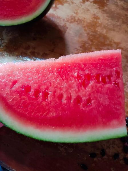 籽瓜图片_籽瓜和西瓜的区别-第3张图片-山城妙识